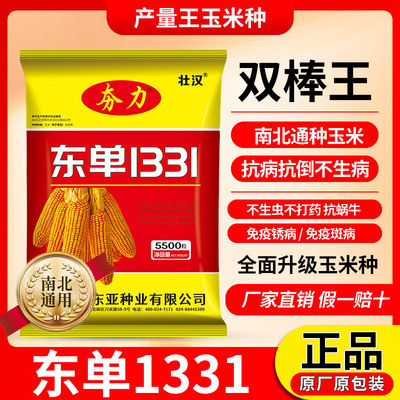 东单1331高产玉米种子大全正品国审抗锈病抗倒抗旱矮杆抗虫农科院