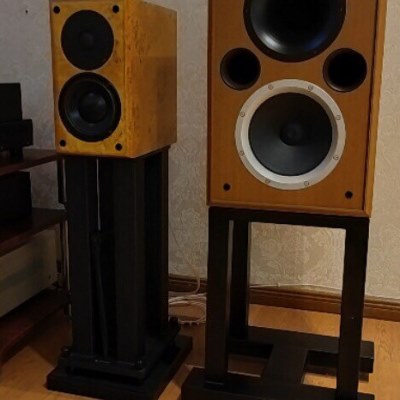 天朗10寸同轴工型音响脚架