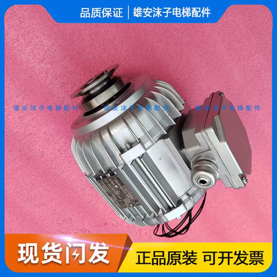迅达电梯7000 门机马达EN60034 SKhR80-6H2/2540530电动机