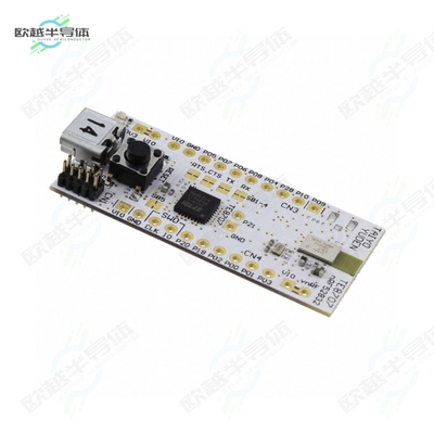 EBSHSNZWZ[开发板EYSHSNZWZ BLUETOOTH 5 EVAL BOARD】