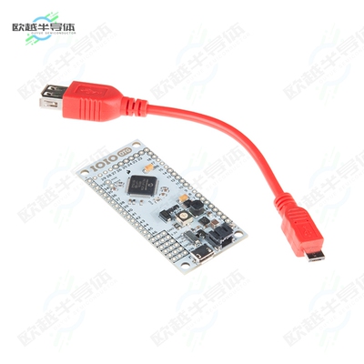 DEV-13613[开发板EVAL BOARD FOR PIC24FJ256GB206】