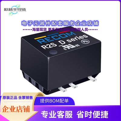 R2S-153.3/P-R[电源模块DC DC CONVERTER 3.3V 2W]