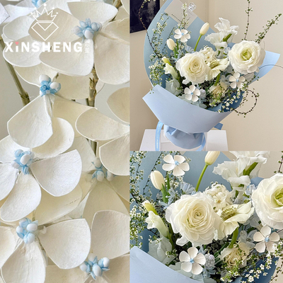 芯苼蓝星花干花花艺资材