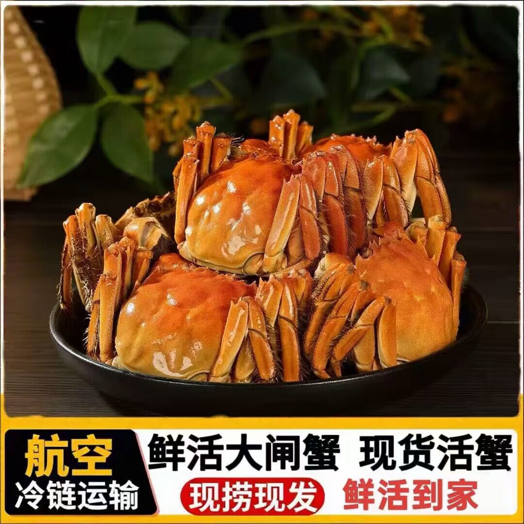 活蟹鲜活大闸蟹河蟹六月黄螃蟹毛蟹苏州产地直发水产包邮香辣蟹