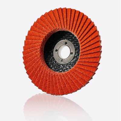 Ichiguchi 一久株式会社 超级陶瓷圆盘 SPCD10015