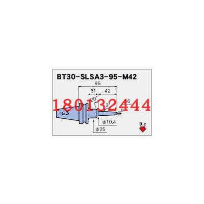 BT30-SLSA6M2275942日本