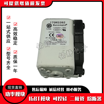 170M3558/3559/3560/3561熔断器