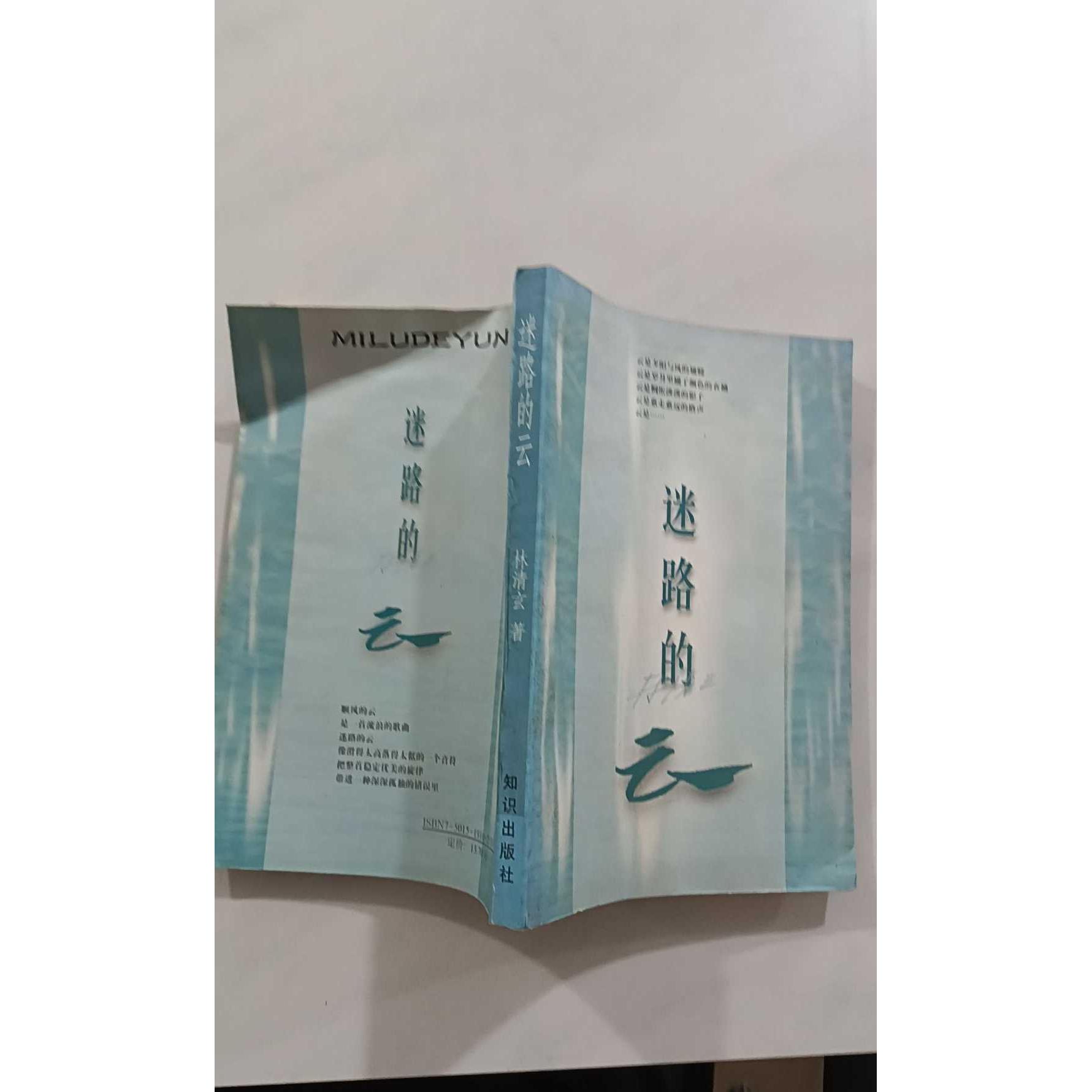 【正版旧书 7-9成新】迷路的云林清玄知识出版社2000-02-01现代小说1919-1949年