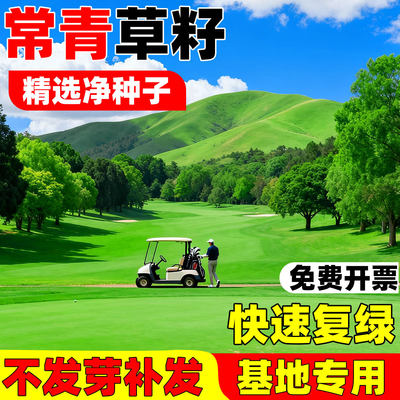 草坪草籽四季常青庭院地毯草皮种子护坡绿化狗牙根马尼拉黑麦草种