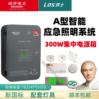 敏华劳士A型应急照明集中电源M-D-0.3KVA 300W配电箱36v疏散指示