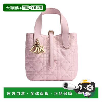 1h可退 香港直邮Dior Dior Toujours Nano单肩包 S6100OMXD