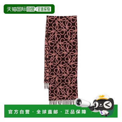 香港直邮LOEWE 女士围巾 FSF4SS1W02D0038 SS2026 棕色