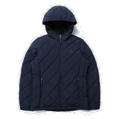 韩国直邮EIDER 羽绒服女士DWW21583N4 DIAMANT高端流行 休闲时尚