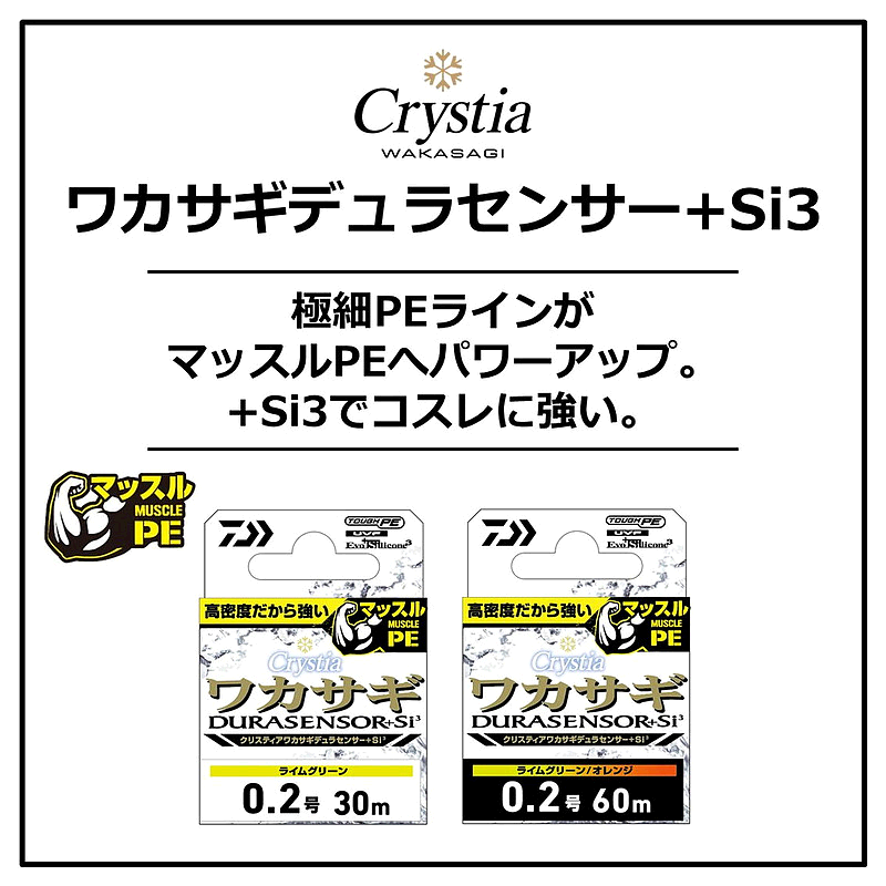 日本直邮Daiwa Christia Smelt Durasensor +Si3 60m 0.15 柠檬绿
