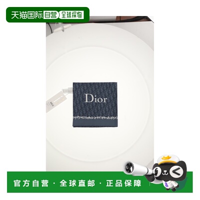 1h可退 香港直邮DIOR 迪奥 女士 SCARF-70X70 围巾 62MAL070I69