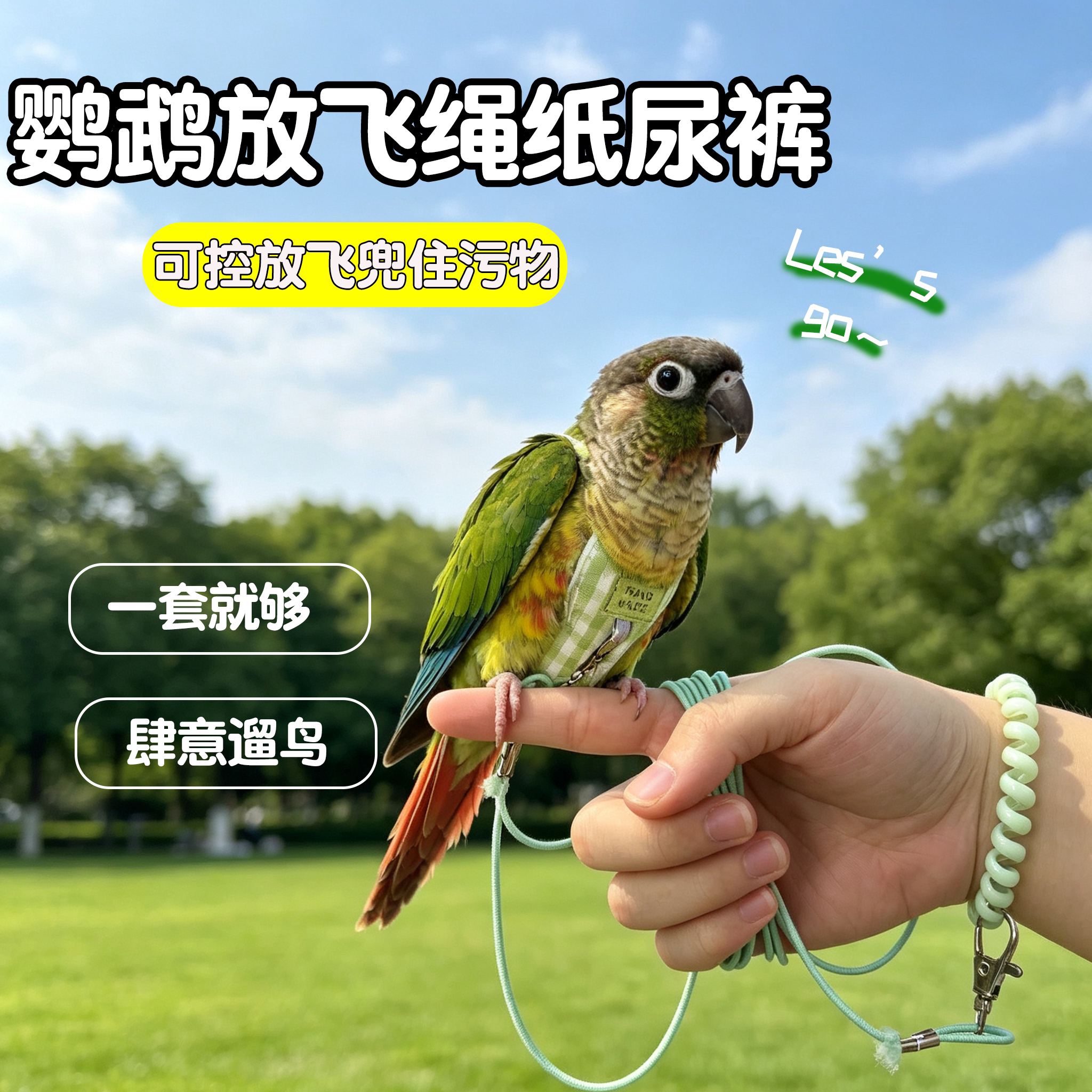 鹦鹉放飞绳纸尿裤可控飞绳防逃宠物鸟用品一套就够鸟禽服饰便携