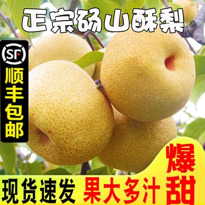 砀山梨新鲜梨子安徽正宗砀山梨砀山酥梨汤山梨新鲜整箱顺丰包邮