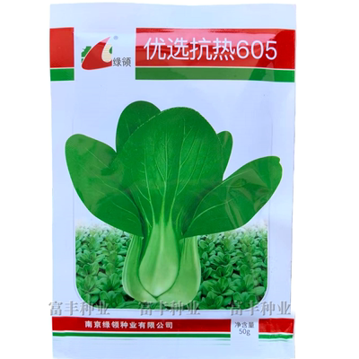 绿领优选抗热605青菜种子叶柄浅绿色基部大束腰抗热上海青菜种子