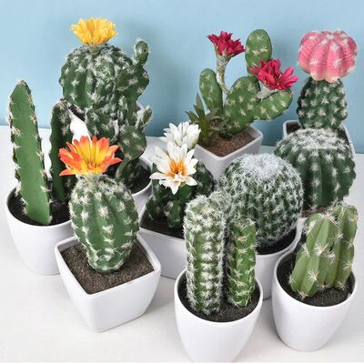 1PC Mini Fake Plastic Cactus Without Pot Potted Plant Home D