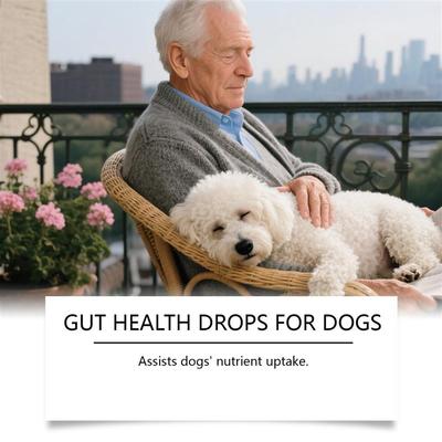 Puppies for fungi drips, warm care dog intestinal feeding, n