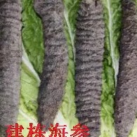 北极海参野生干货进J口海参