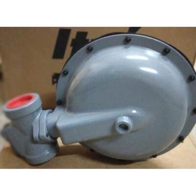 冬斯燃烧机电磁阀MVDLE205/5 207/5MV DLE议价