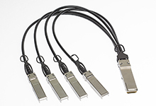 Molex100GZQSFP+/4*ZSFP+25G