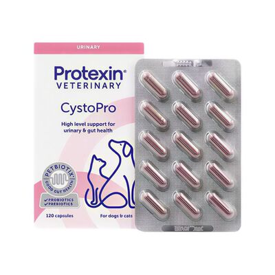 英国CystoPro泌尿调理猫犬通用修复膀胱泌尿健康