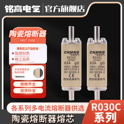 刀型触头熔断器R030C/NGTC00陶瓷