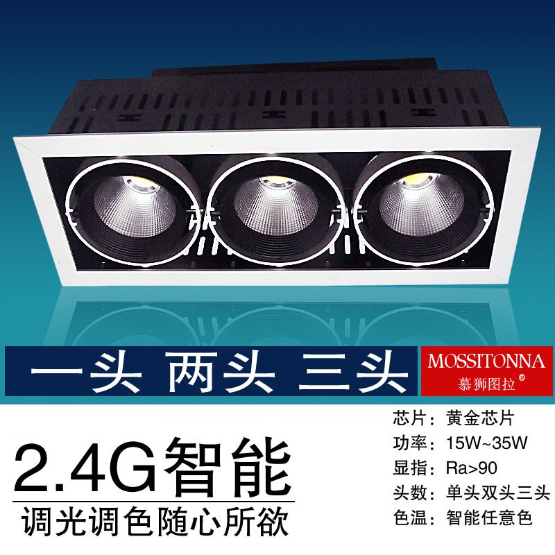 智能遥控调光嵌入式筒灯天花灯COB格栅射灯斗胆灯LED双头单头三头