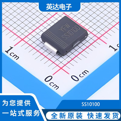 SS10100 原装正品 SMC