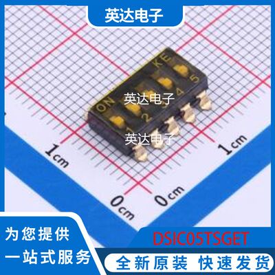 DSIC05TSGET 原装正品 SMD-10P,6x12.6mm