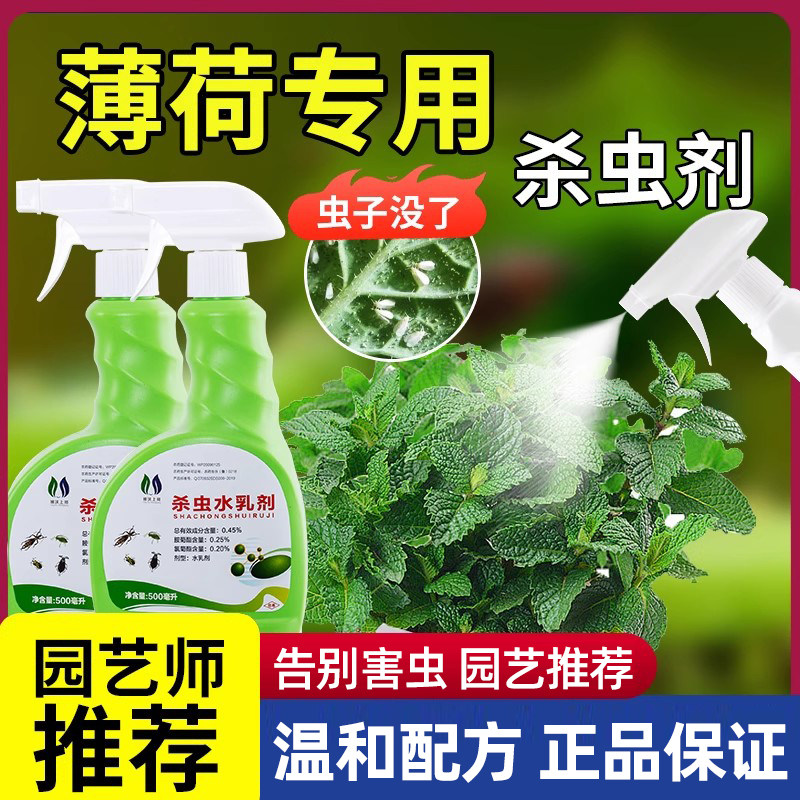 薄荷叶杀虫剂小飞虫蚜虫蚧壳虫驱虫药花卉盆栽植物通用型除虫药剂