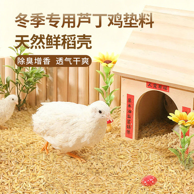 芦丁鸡垫料冬季专用新鲜稻壳除臭
