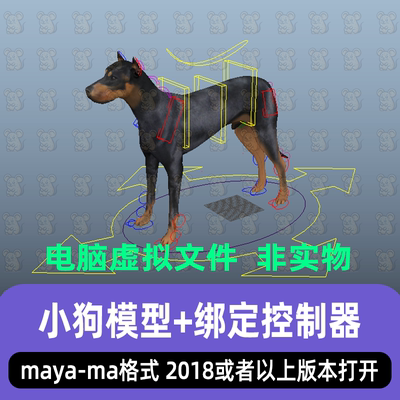 maya影视级写实小狗杜宾犬宠物狗3d模型素材骨骼绑定带有控制器