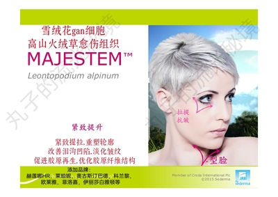 法国司达玛雪绒花gan细胞高山火绒草淡纹丰盈泪沟颈纹紧致促胶原