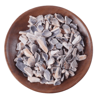 紫贝齿50g-1000克中药材