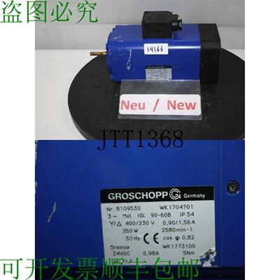 供应Groschopp WK1704701 350 Vatios IGL 90-60B 电动机