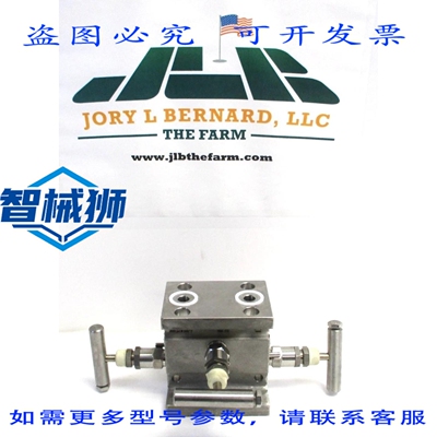 原装供应 ERSON GREENWOOD M4AVIS 3阀歧管 316-SST 6000-PSI