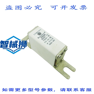 原装供应 BUSSMANN 170M1371 保险丝 - -