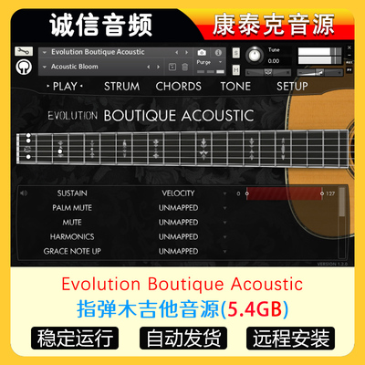 虚拟指弹木吉他音源Orange Tree Evolution Boutique Acoustic