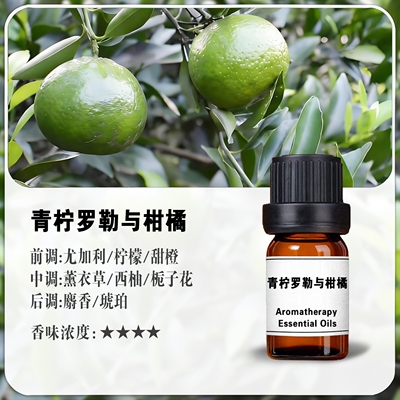 柑橘精油小样扩香机专用持久留香