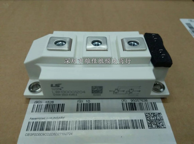 LWH200G1204 LWH150G1204 LWH300G1204 1203 1202 1201
