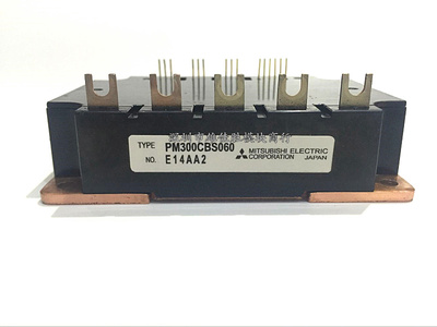 PM450CS1H060 PM300CBS060 PM200CBS060 PM150CBS060