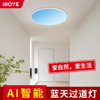 青晴空灯阳台灯衣帽间玄关走道灯走廊灯蓝天灯超薄圆形吸顶天空灯