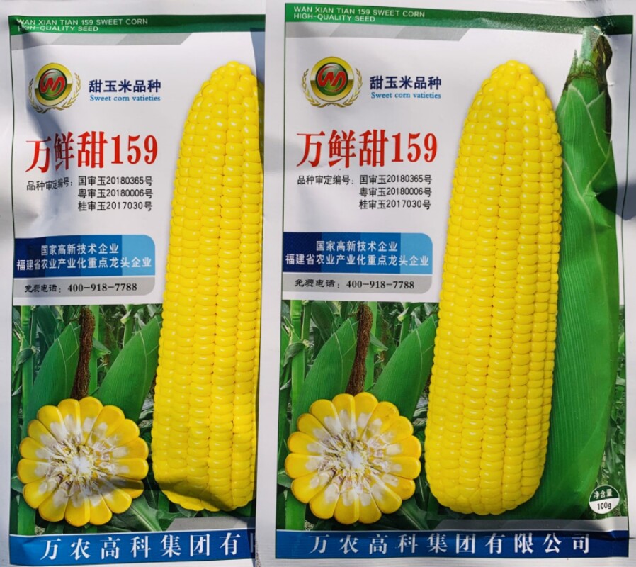 万鲜甜159甜玉米种子黄色水果玉米种子南方鲜食甜玉米种籽甜度高