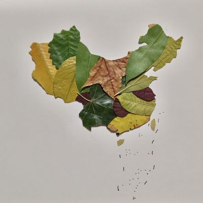 树叶拼贴画成品真粘植物