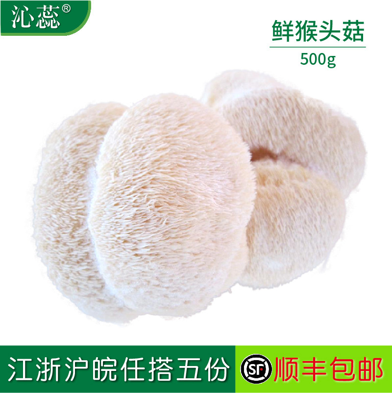 【沁蕊】鲜猴头菇菌菇 500g新鲜食用菌
