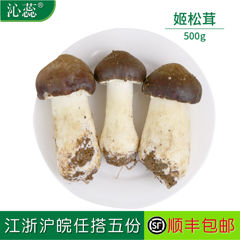 【沁蕊】姬松茸新鲜松茸菇500g巴西菇松茸