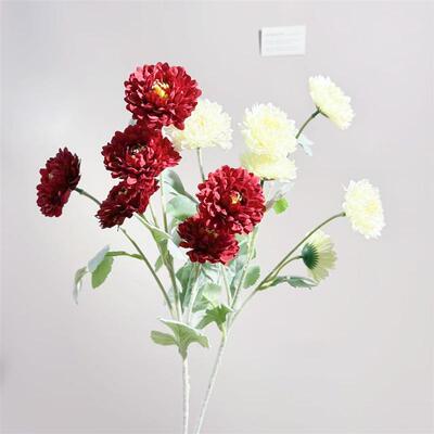 Its a six-headed sunflower wedding ceremony. Its an acupun